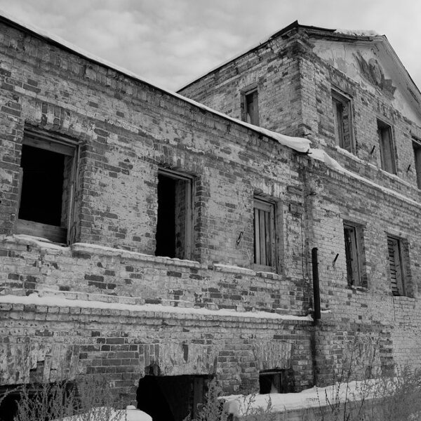 Quand bois, design et performances font bon ménage | Build Green